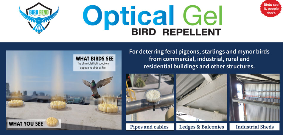 BIRDFEND Bird Control Bird repellent bird scare bird gel bird removal